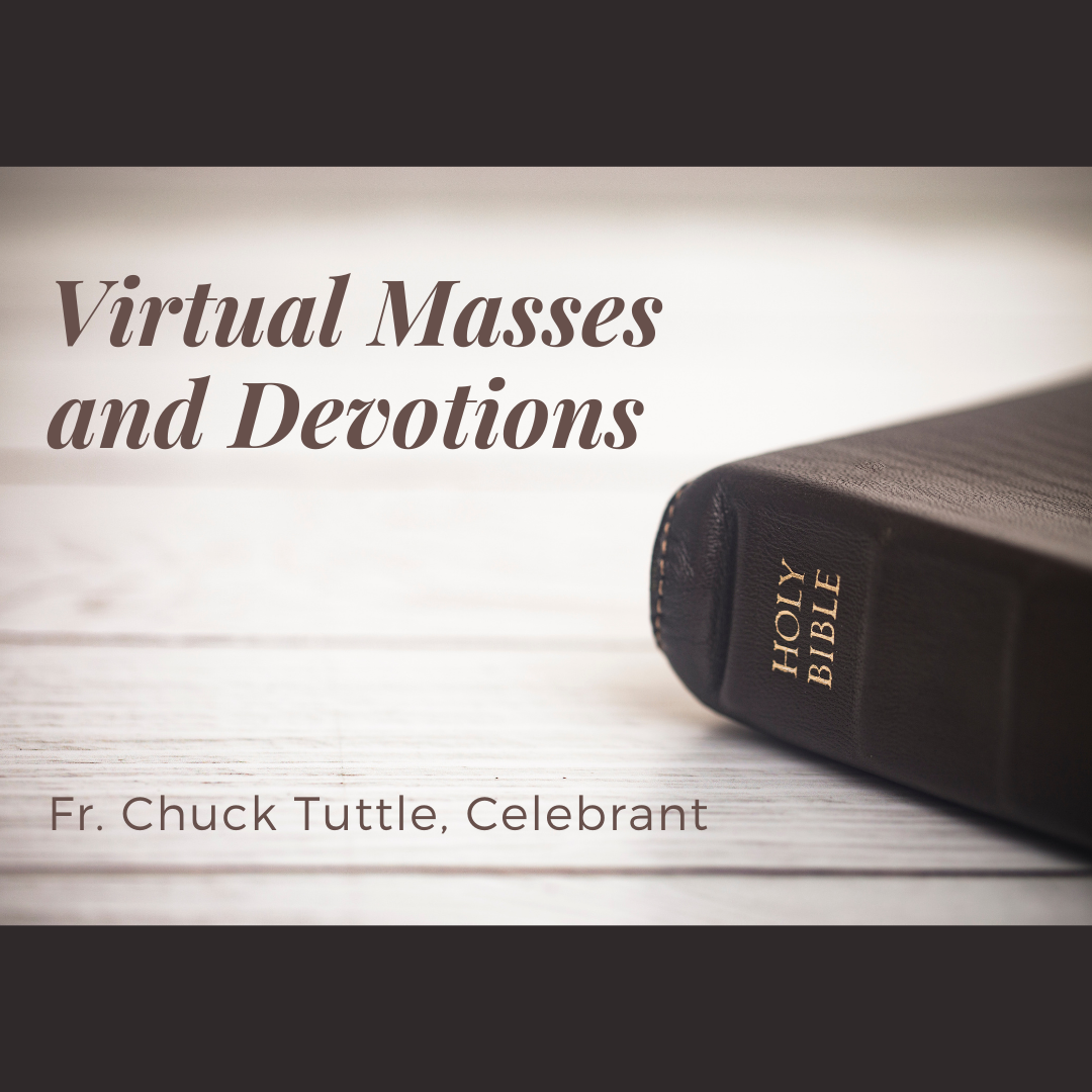 Masses – Virtual Masses and Devotions | Mater Dei Catholic High School ...